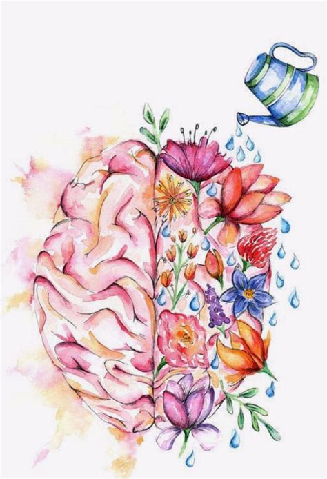 რომელი პროდუქტები აუმჯობესებენ მეხსიერებას და ტვინის მუშაობას Feedc