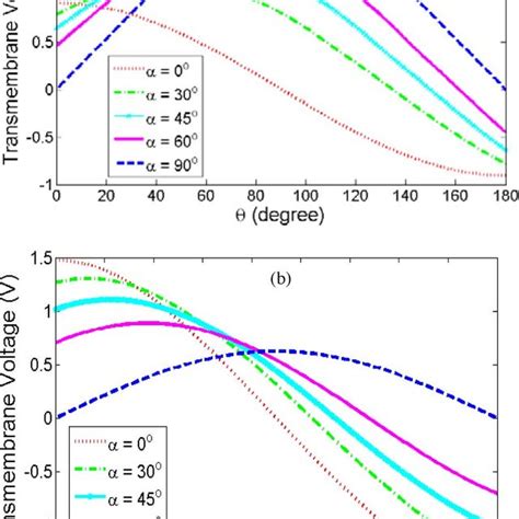 Schematic Of The Prolate Spheroidal Cell Model For The Tmp Calculation Schematic Of The Prolate Spheroidal Cell Model For The Tmp Calculation