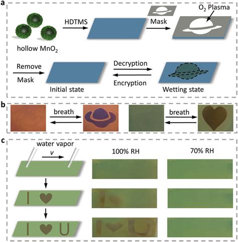 A Scheme Illustrating Encryption In A Film Of Mno 2 Hollow Nanospheres