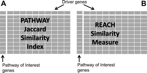 Similarity Matrices A Represents Matrix P Of Pathway Similarity