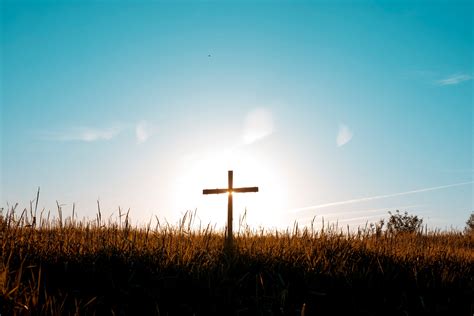 მავთულბადე მავთულბადე Added A New Photo