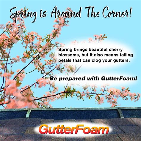 Gutterfoam Gutter Foam Filter Fascia Style Gutters Are Becoming A