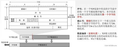 【计算机网络】详解tcp协议 上 tcp协议头结构 ack确认应答 超时重传机制 tcp ack csdn博客