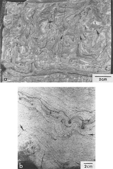Load Structures Formed During Sediment Liquefaction A Lobe Of