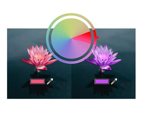 Как установить Coreldraw X4 на Windows 10