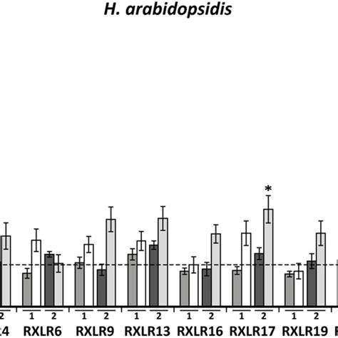 Sequence Features Of Successfully Cloned Rxlr Genes Of H Arabidopsidis