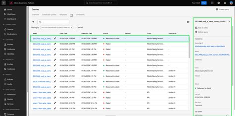 Query Logs Adobe Experience Platform