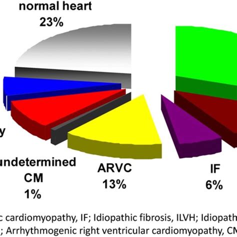 Myocyte Cellular Disarray In The Left Ventricle Hande Staining Of