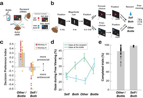 Social Reward Allocation Task And The Behaviors Associated With Social