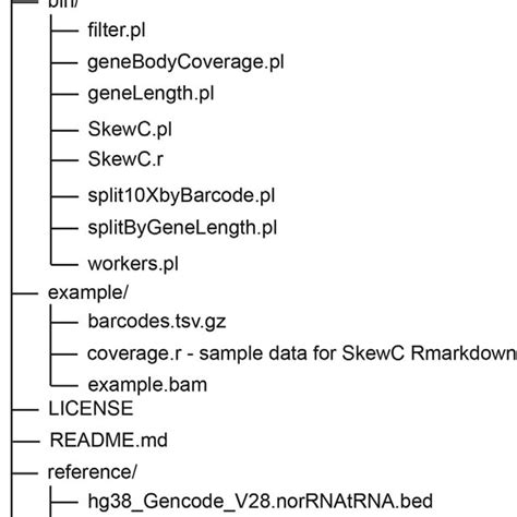 skewc folder structure under user home directory download scientific