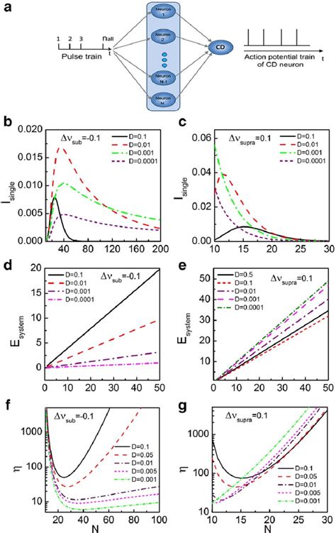 The Energy Efficiency Of A Neuronal Network Is Maximized By The Number