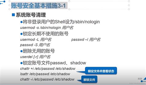 系统安全及应用 csdn博客