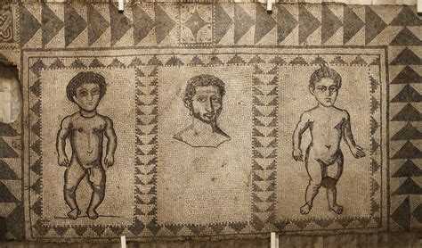 Best R Mosaicporn Images On Pholder These Stunning Mosaics Have Just Been Unearthed Under A