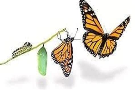 Strategic Insight Blogs Guberno Consulting