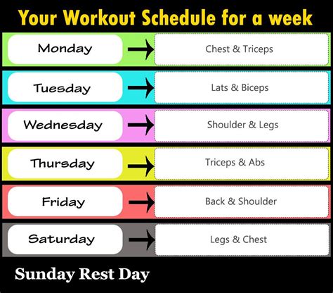 Full Week Gym Workout Plan Fitness Workouts And Exercises Fitness