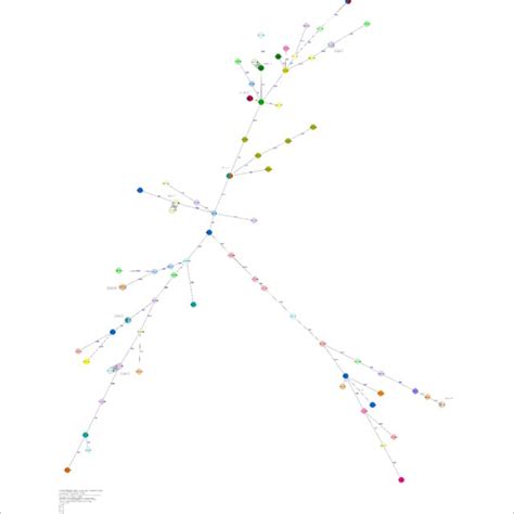 Minimum Spanning Tree Mst Based On Cgmlst Analysis Of 15 K