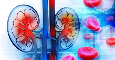 Talaris Therapeutics Receives RMAT, Raises $100M, Announces Promising ...