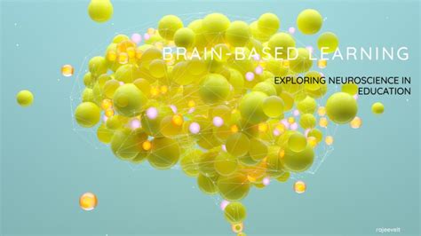 brain based learning exploring neuroscience in education school