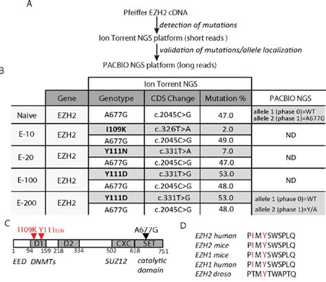 Acquisition Of A Single Ezh2 D1 Domain Mutation Confers Acquired