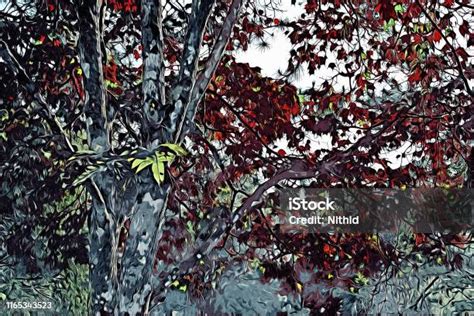 단풍의 디지털 회화 가을 철에 단풍단나무 유화 일러스트 0명에 대한 스톡 벡터 아트 및 기타 이미지 0명 11월 가을 Istock