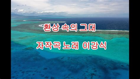 환상 속의 그대 20대 초반 언저리 소록도에서 지어봤던 가사입니다 Youtube