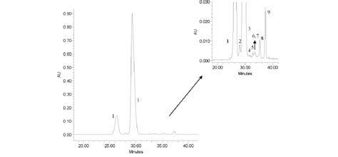 Hplc Chromatogram Of Fraction 4 At 520 Nm Download Scientific Diagram