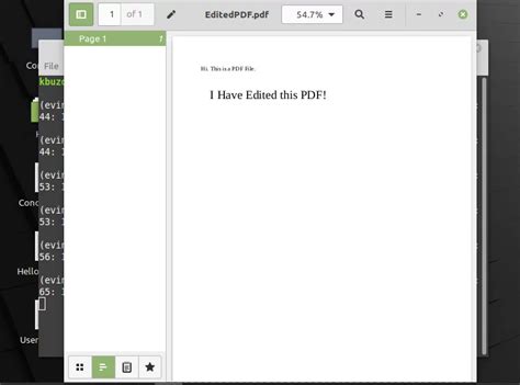 如何在 Linux Mint 20 终端中打开 Pdf