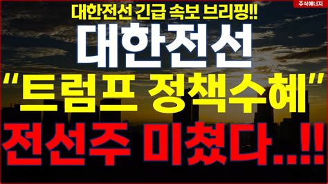 대한전선 트럼프 정책 수혜 터졌다 전선주 미쳤다 대한전선 긴급 속보 브리핑 필수시청 Youtube