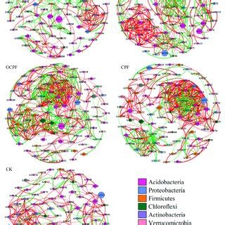 The co-occurrence network of bacterial communities at the ASV level in... | Download Scientific ...