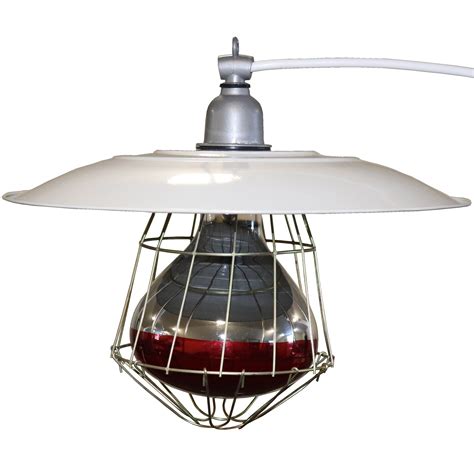 Brooder Heat Lamp Ubicaciondepersonas Cdmx Gob Mx