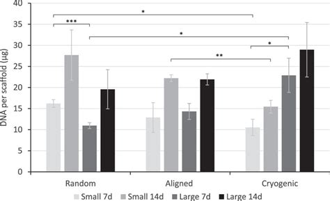 Picogreen Assay At 7 And 14 Days Showing The Dna Quantity Per Download Scientific Diagram