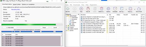Download Full Playlist From Youtube In Bulk 5 Workable Ways