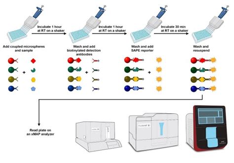Multiplexed Quantitative Bacterial Detection Using Dye Labeled Magnetic