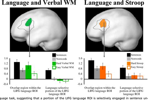 figure 1 from functional specificity for high level linguistic