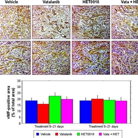 Mean Vascular Density Notes Five Different Highly Dense Vascular