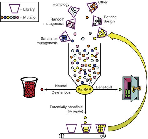 Multivariate Optimization Of Enzymesat Any Point 50 Mutations Download Scientific Diagram