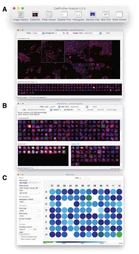 user interface of cellprofiler analyst a main toolbar and image