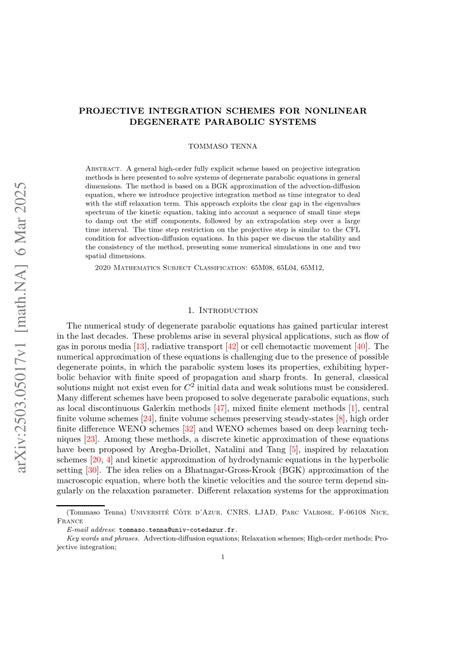 Pdf Projective Integration Schemes For Nonlinear Degenerate Parabolic