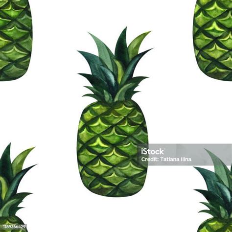 파인애플 손으로 장식 배경을 그리는 수채화 원활한 꽃 패턴 민족 원활한 패턴 장식 섬유 천 벽지 스크랩북 인쇄 과일에 대한 스톡 벡터 아트 및 기타 이미지 Istock