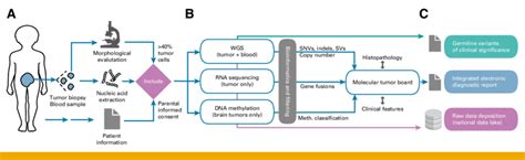Workflow For Whole Genome Profiling Of Pediatric Cancer A Download Scientific Diagram