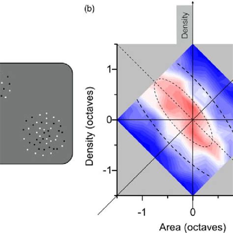 Poor Visual Acuity Of Newborns Example Of Arrays Of Items And How They Download Scientific