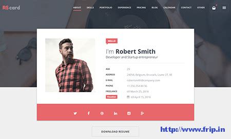 Best VCard WordPress Themes For Professionals Frip In