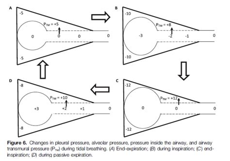 Vocal Cord Dysfunction — Nuem Blog