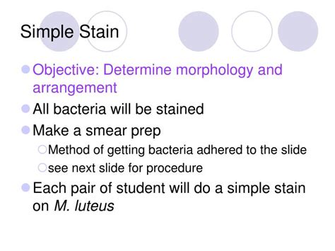 PPT Staining PowerPoint Presentation ID 1310036