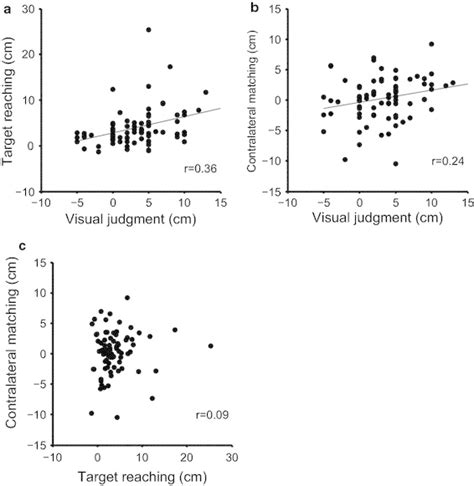 Correlational Analyses Between The Three Types Of Proprioceptive Download Scientific Diagram