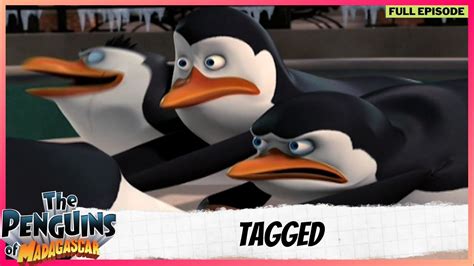 The Penguins Of Madagascar Full Episode Tagged Youtube