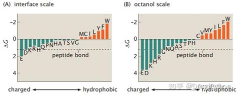 《protein Actions Principles And Modeling》 《蛋白质作用原理和建模》中文分享（7） 知乎