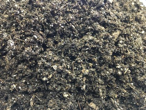 Pindstrup Blond Special Rootd