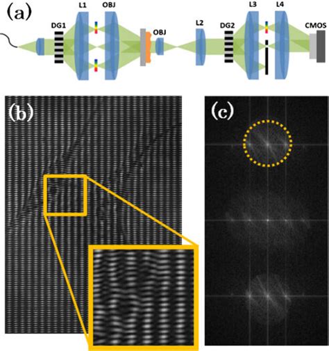 A Optical Schematic For Structured Illumination Diffraction Phase Download Scientific Diagram
