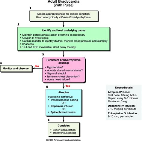 20 Acls 2024 Ideas In 2025 Acls Cardiac Nursing Acls Algorithm